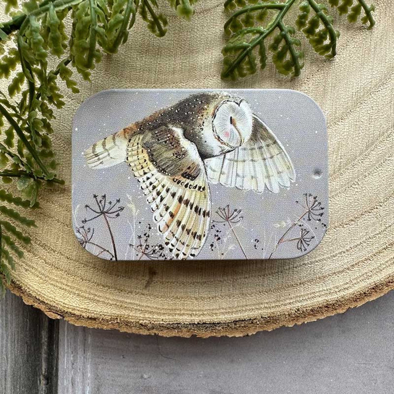 Barn Owl Sliding Tin – Wild Art Gallery