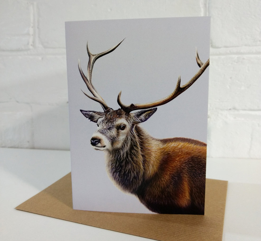 Stag Card A6 – Wild Art Gallery